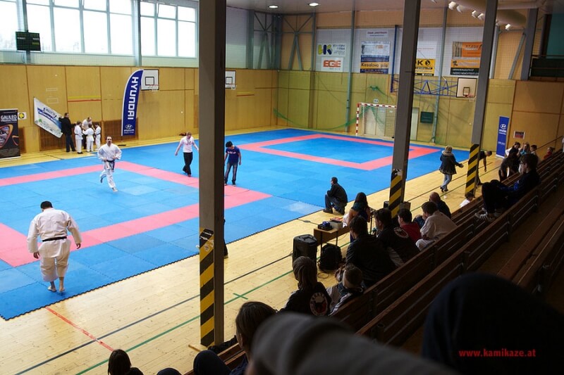 Lehrgang mit Rafael Aghayev - Karate Dojo Seibukan Linz