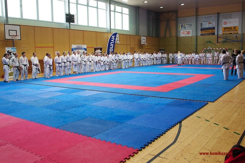 Lehrgang mit Rafael Aghayev - Karate Dojo Seibukan Linz
