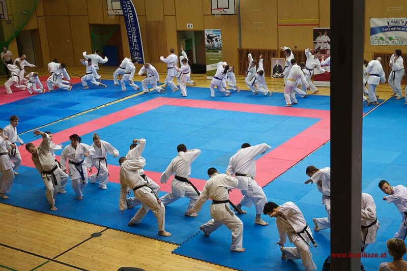 Lehrgang mit Rafael Aghayev - Karate Dojo Seibukan Linz